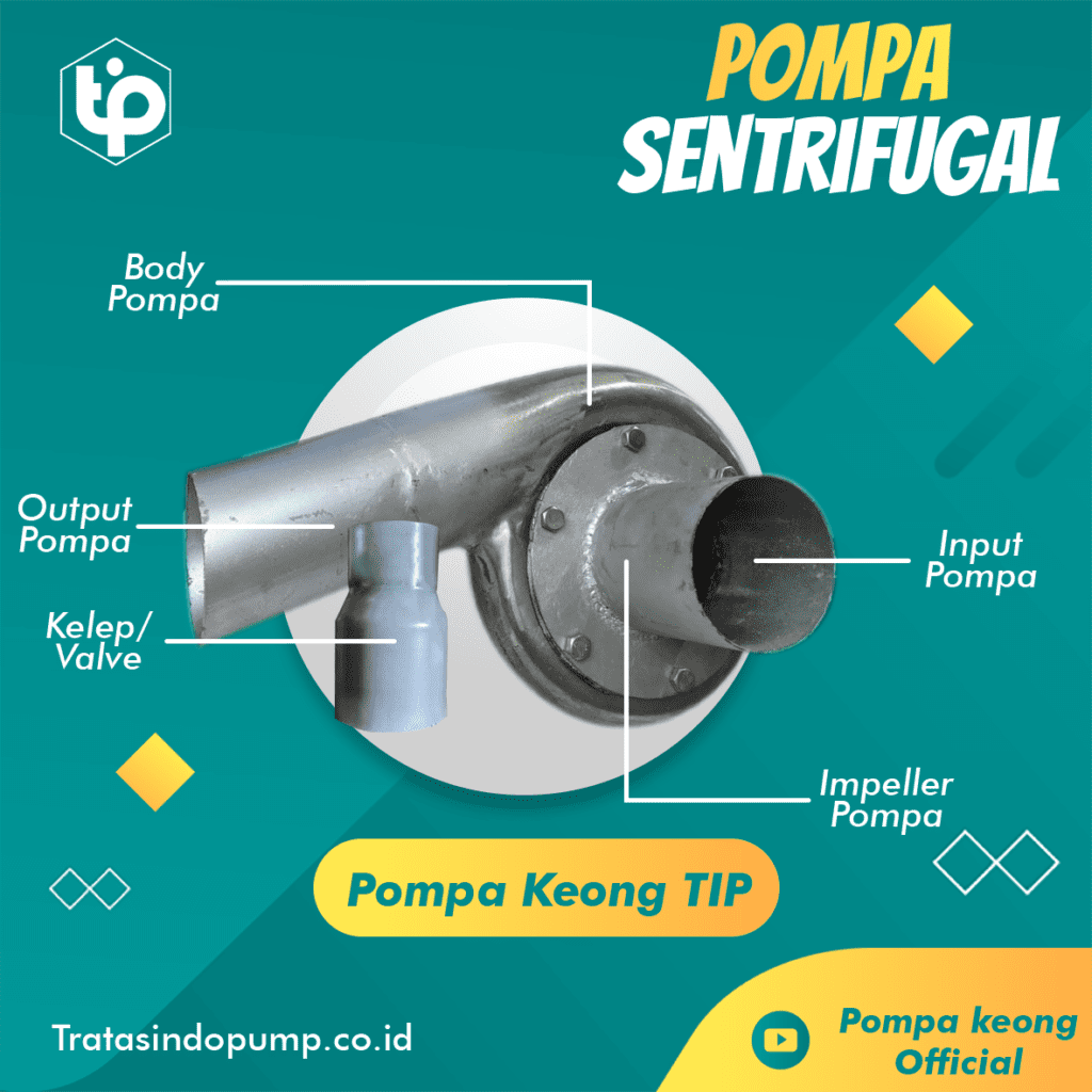 Pompa Keong Stainless 2.5 Inch Impeller Spi Daun 5 - Produsen dan ...